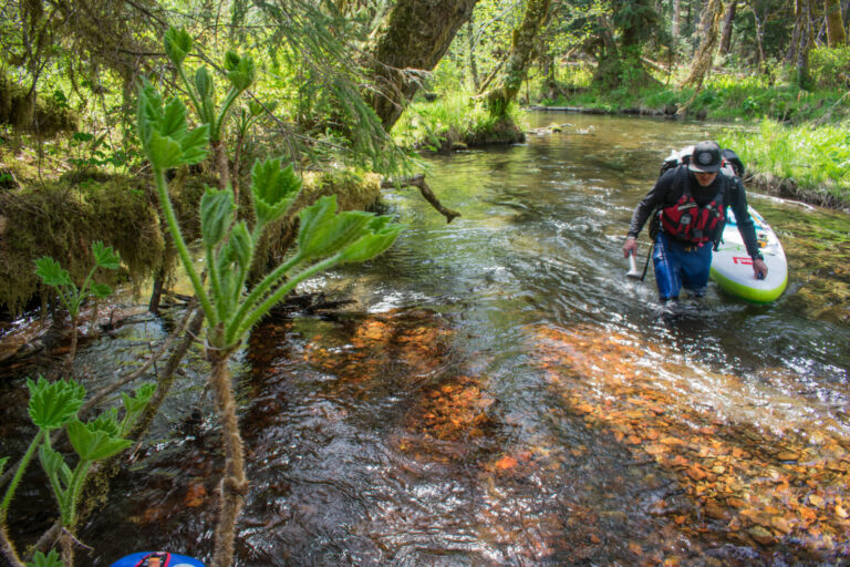 Following the Ancestors: Searching for an 8,000 Year Old Grease Trail ...