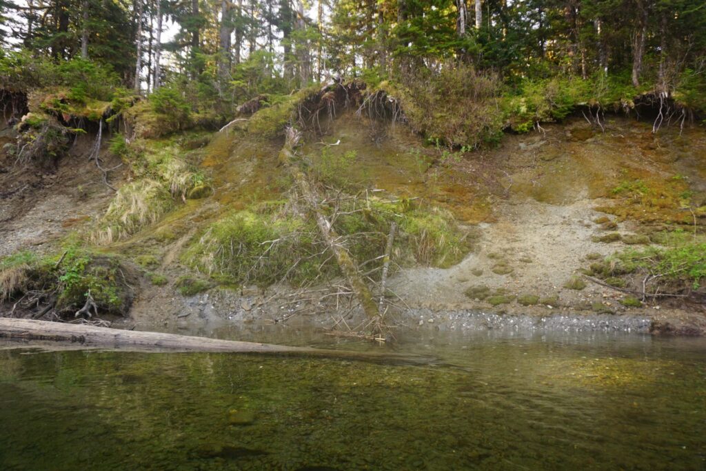 Following the Ancestors: Searching for an 8,000 Year Old Grease Trail ...