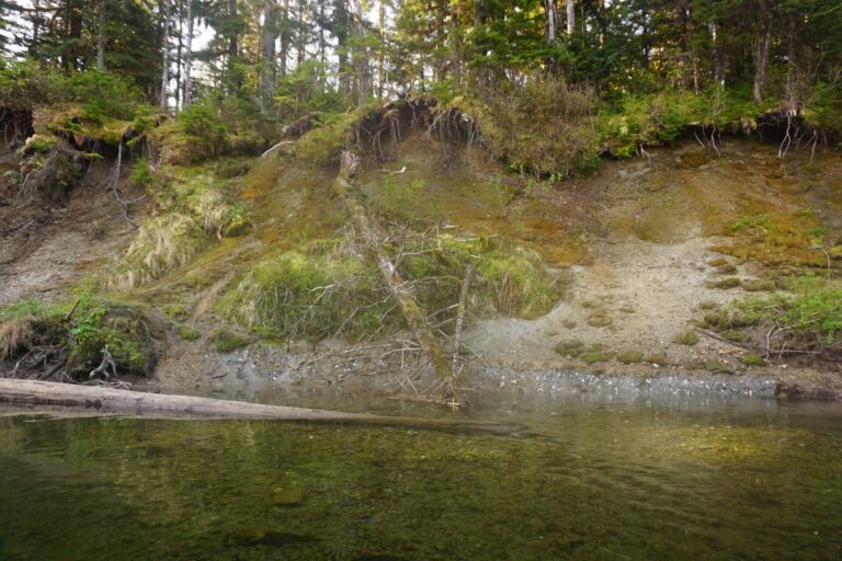 Following the Ancestors: Searching for an 8,000 Year Old Grease Trail ...